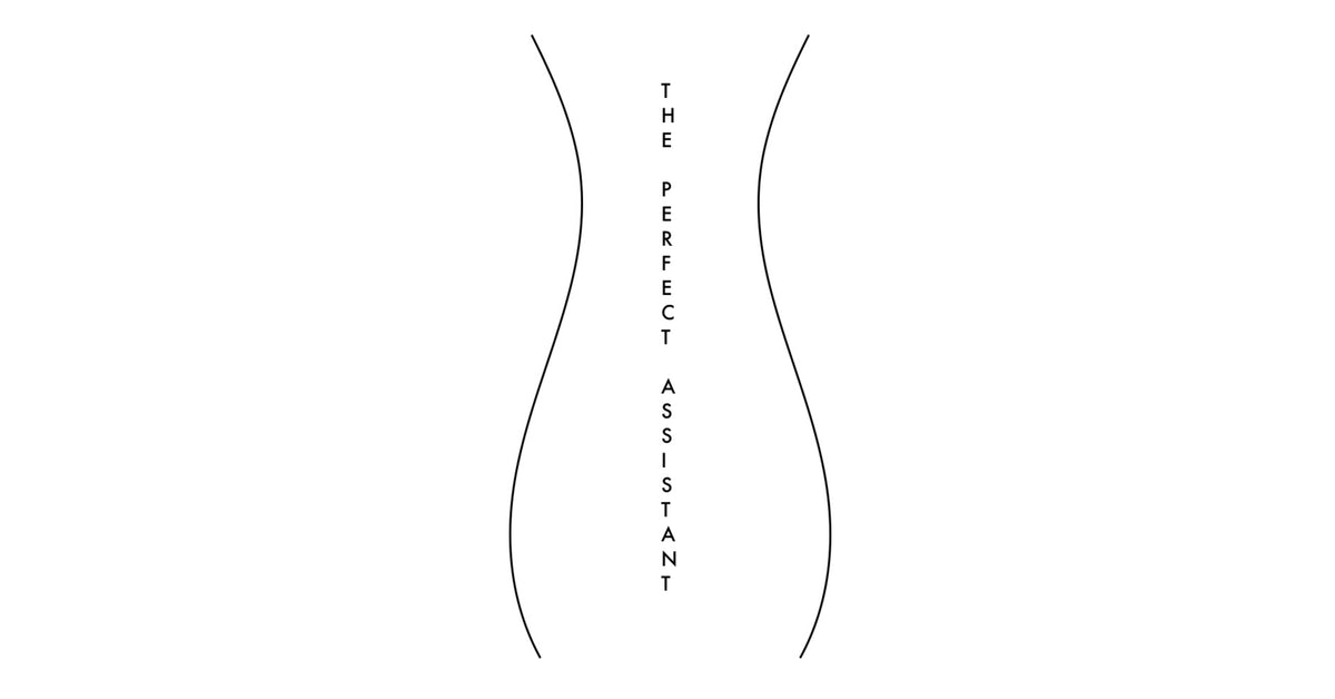 The Perfect Assistant